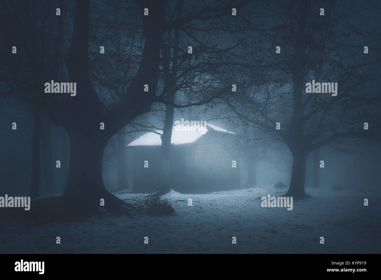 mysterious house in forest with snow at winter Stock Photo - Alamy