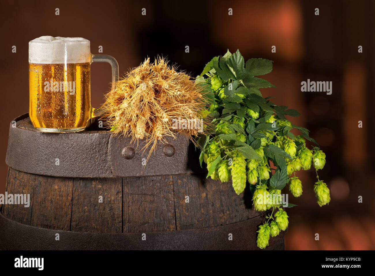 Glass of Beer with Hops and Barley on the Barrel Stock Photo - Alamy