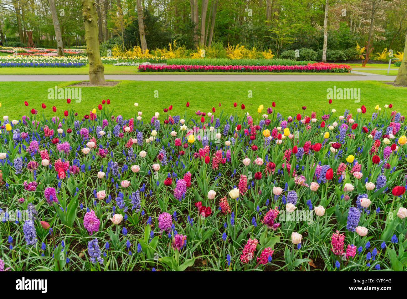 Formal spring garden Stock Photo - Alamy