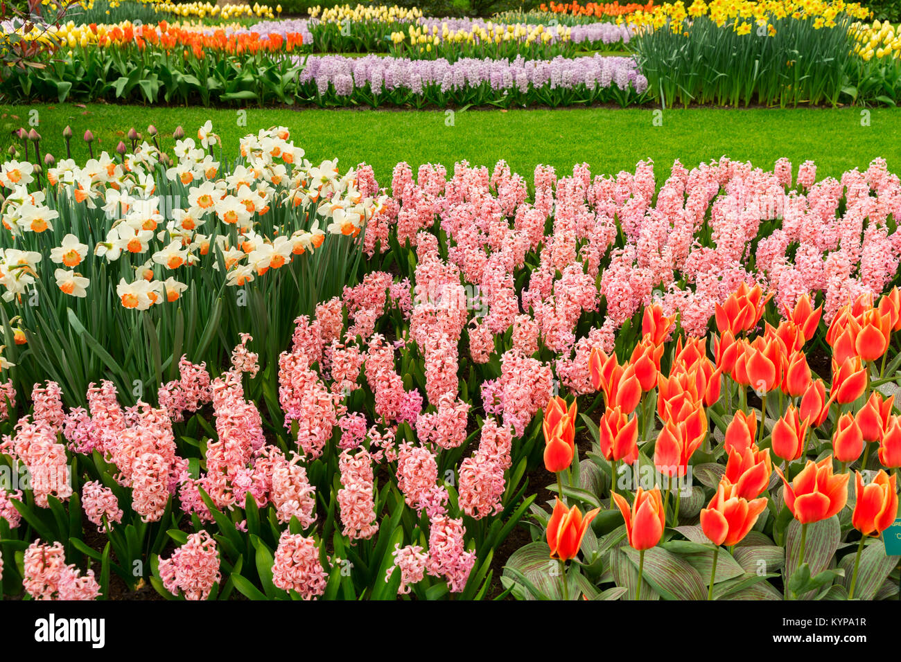 Formal spring garden Stock Photo - Alamy