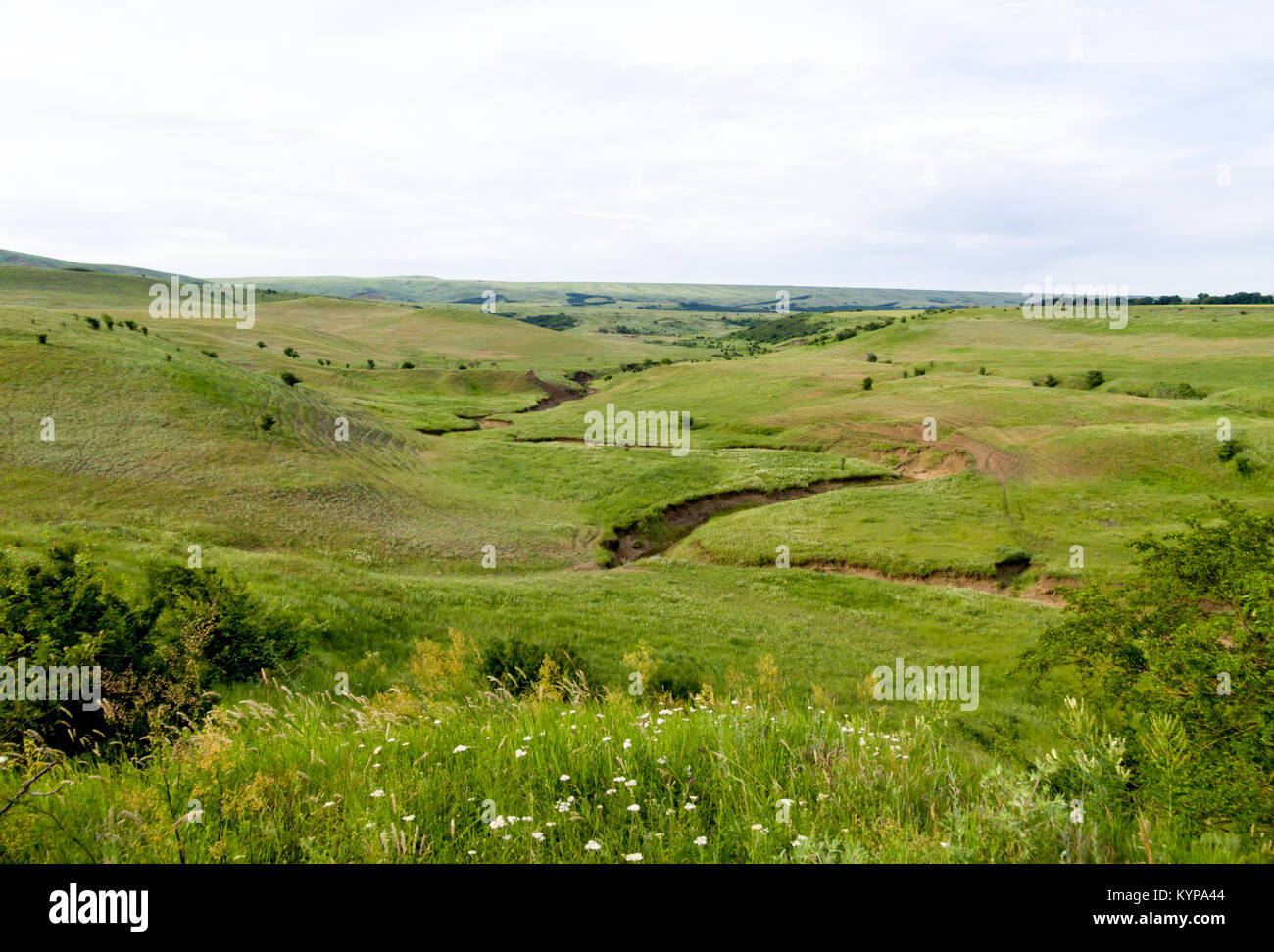 Steppe landscape hi-res stock photography and images - Alamy