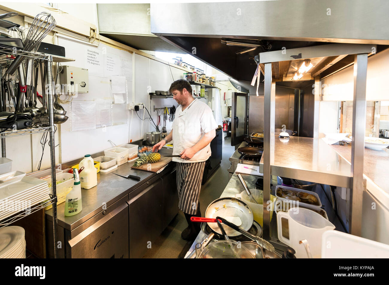 Food preparation - a chef preparing food in a restaurant kitchen Stock ...