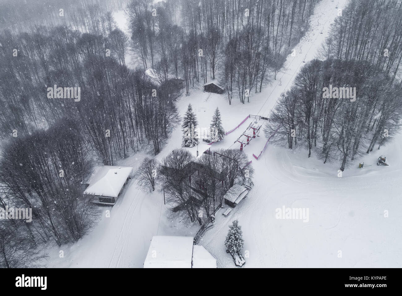 Snowfall in northern wild forest hi-res stock photography and images ...