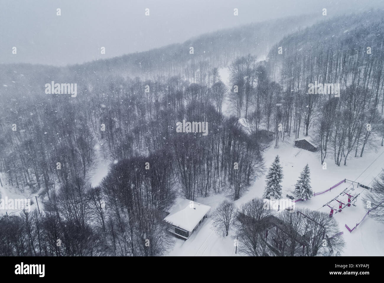 Snowfall in northern wild forest hi-res stock photography and images ...