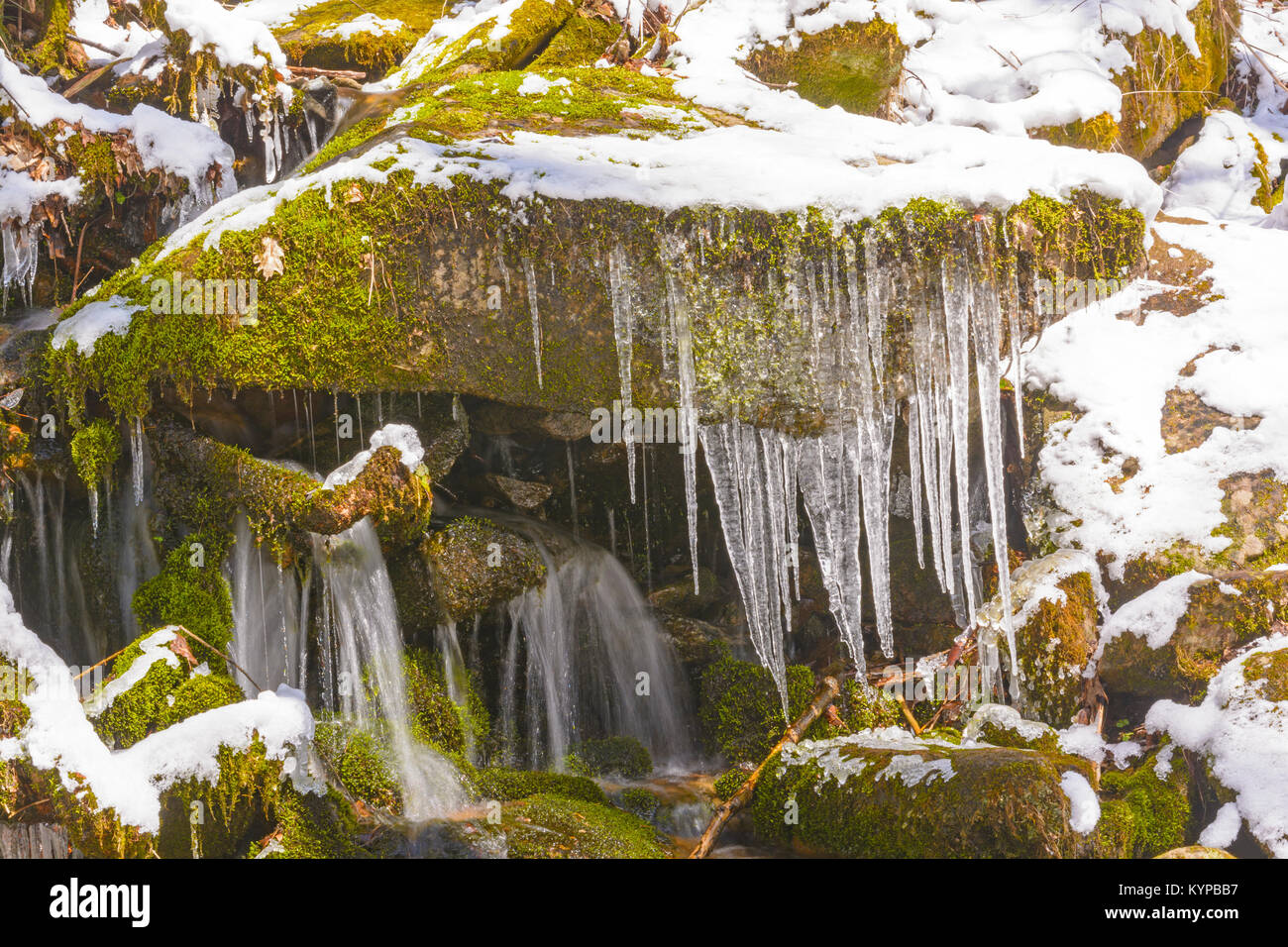 Ice and Water in a Spring Snow in the Smoky Mountains Stock Photo - Alamy