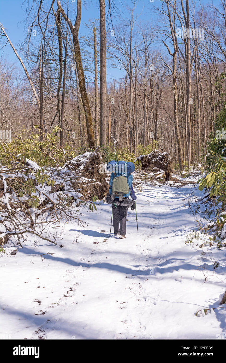 Backpacker on the Big Creek trail in the Smoky mountains after a spring ...