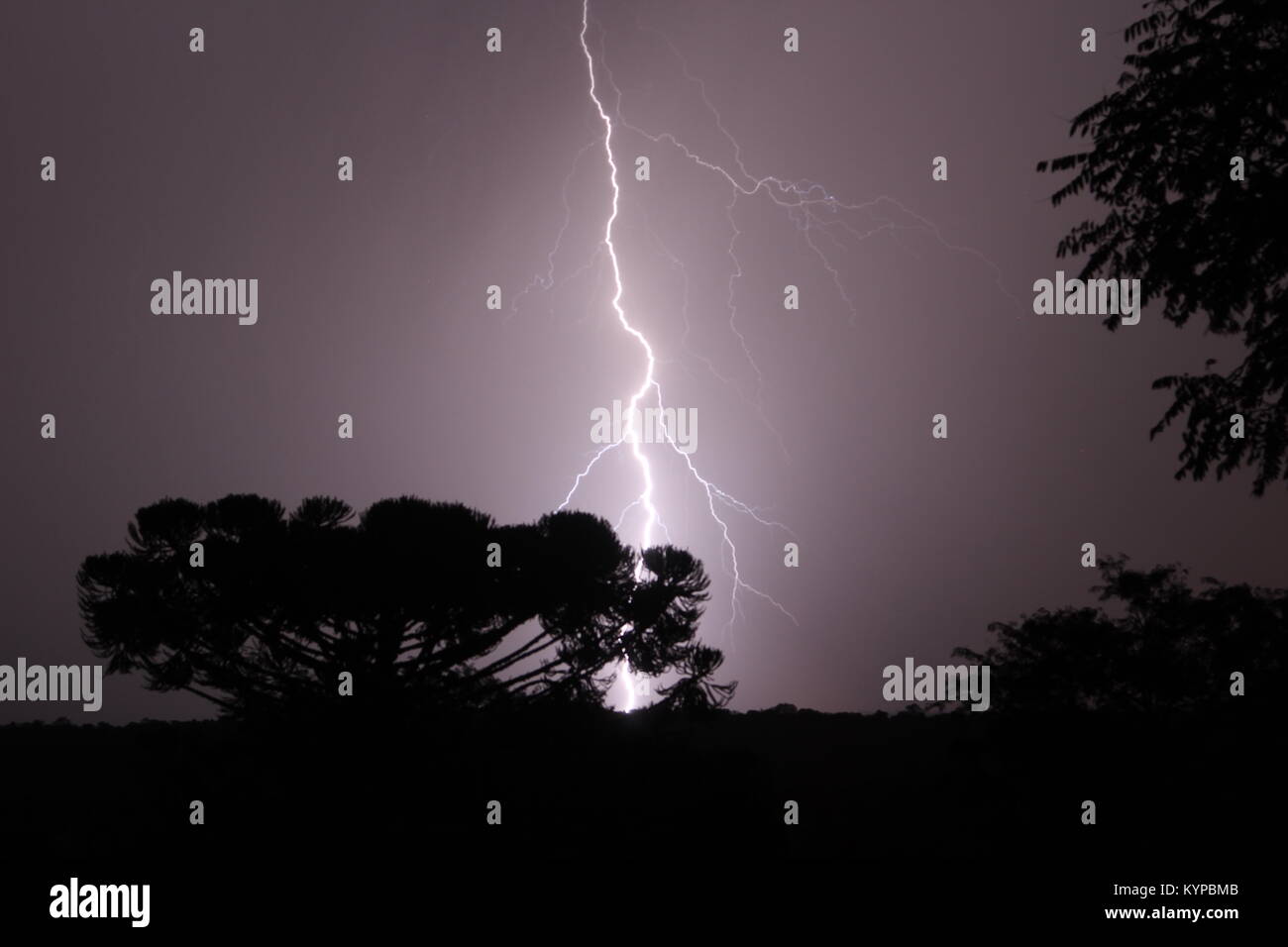 The Amazon Rainforest Storm High Resolution Stock Photography and ...