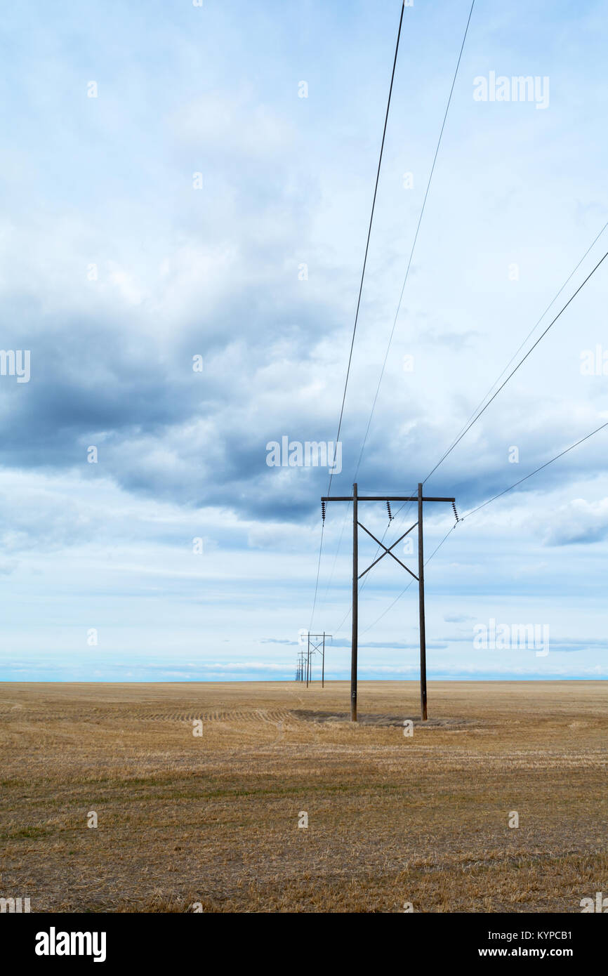 Razor straight set of power lines stretch across a stubble field Stock ...