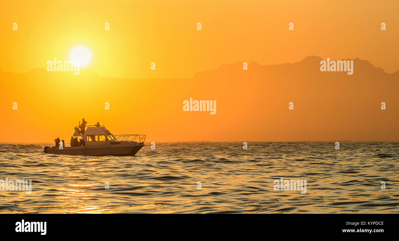 Silhouette of Speed boat in the ocean at sunset. oating at sunset in ...