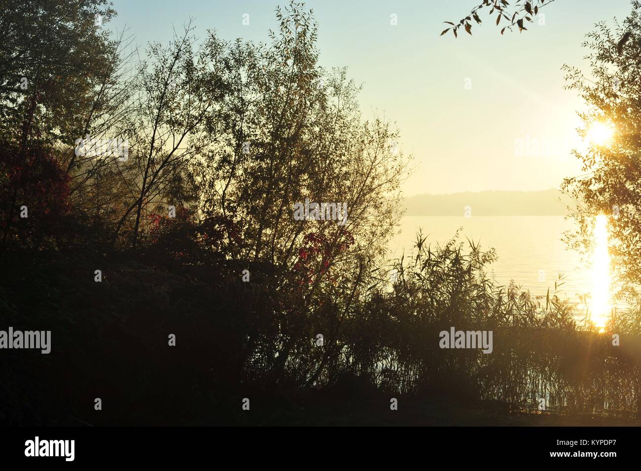 Magnificient view on river Havel in Berlin, Germany Stock Photo - Alamy