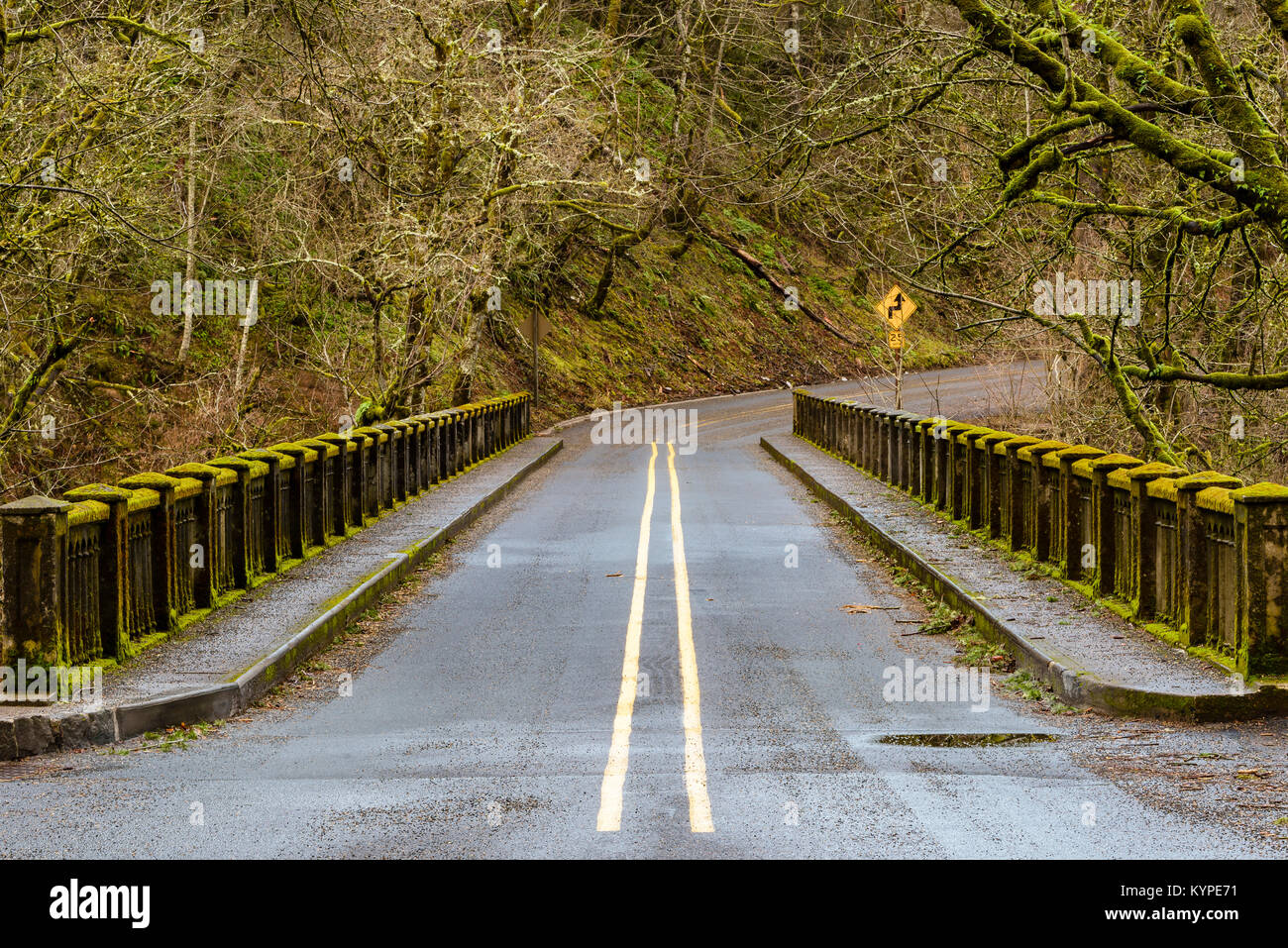 Moss covered bridge hi-res stock photography and images - Alamy