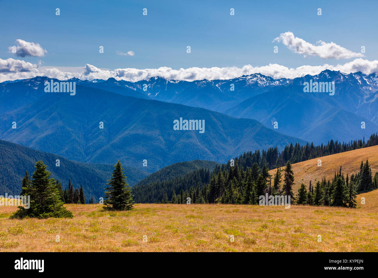 Olympic mountains national park hi-res stock photography and images - Alamy