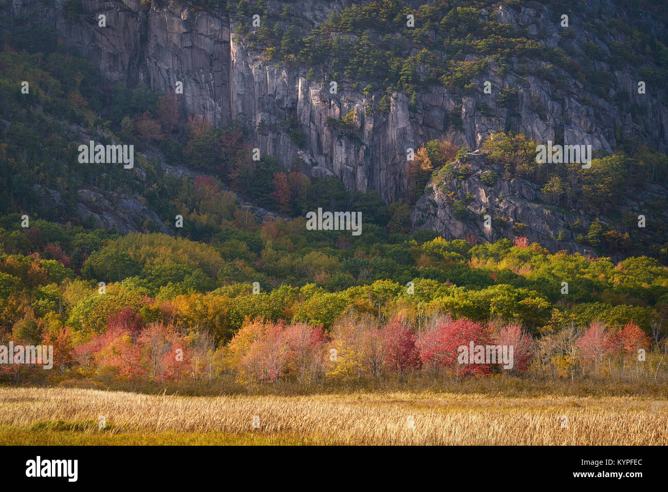 Autumn in Acadia National Park in Maine Stock Photo - Alamy