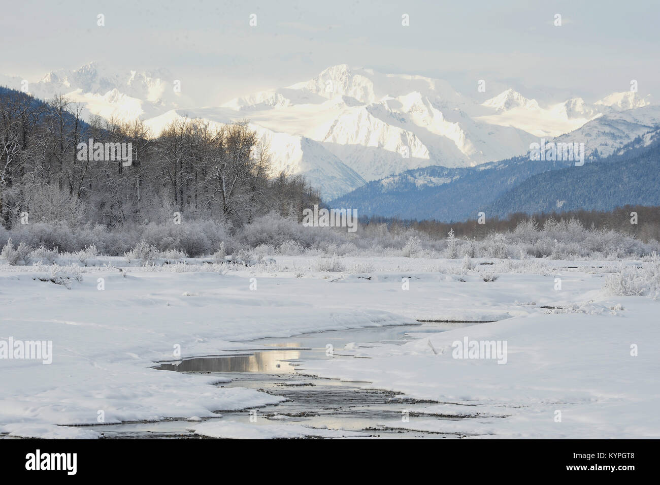 Snowcovered Mountains in Alaska. Chilkat State Park. Mud Bay. HAINES ...