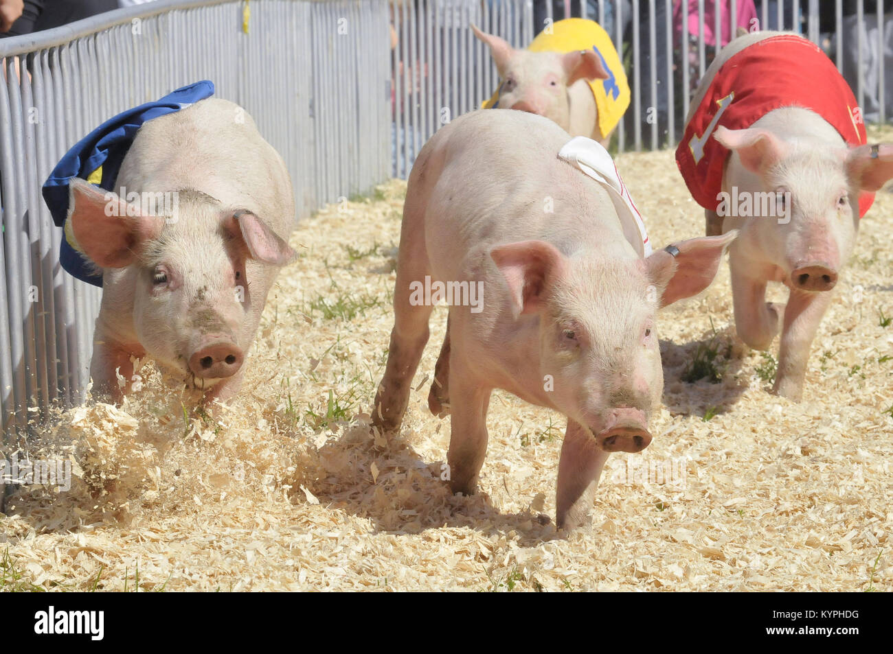 Small county fair hi-res stock photography and images - Alamy