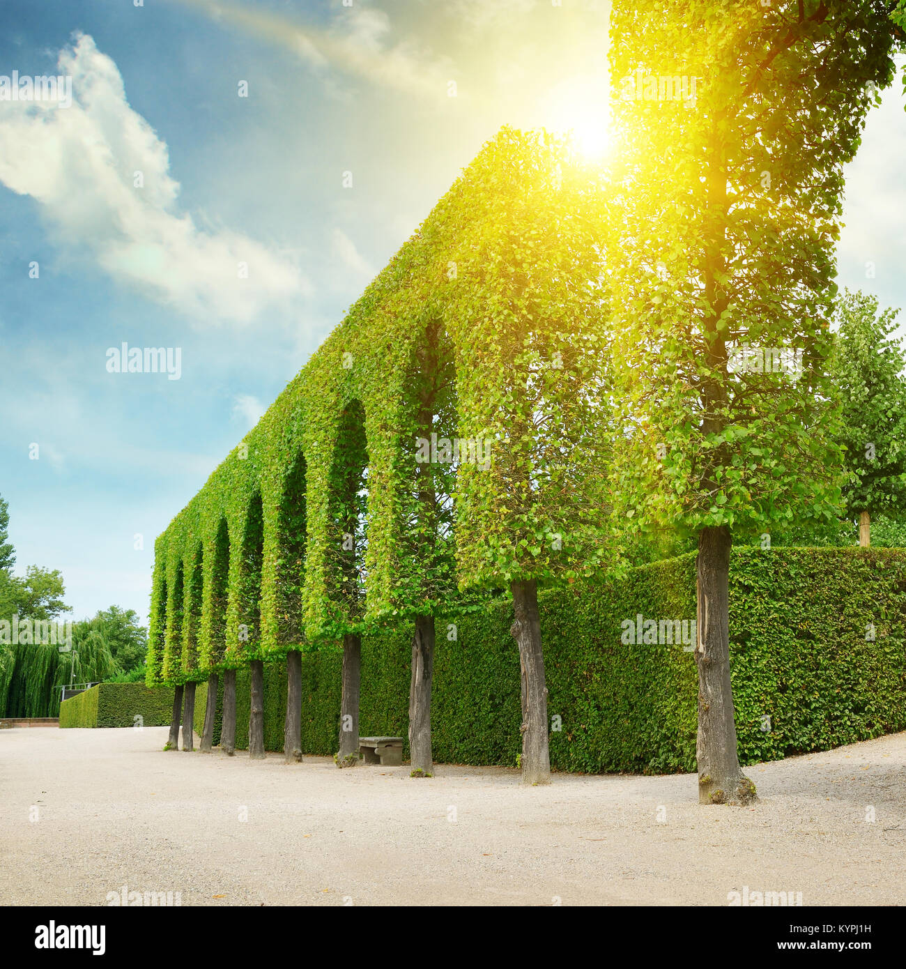 Sun lit park hi-res stock photography and images - Alamy