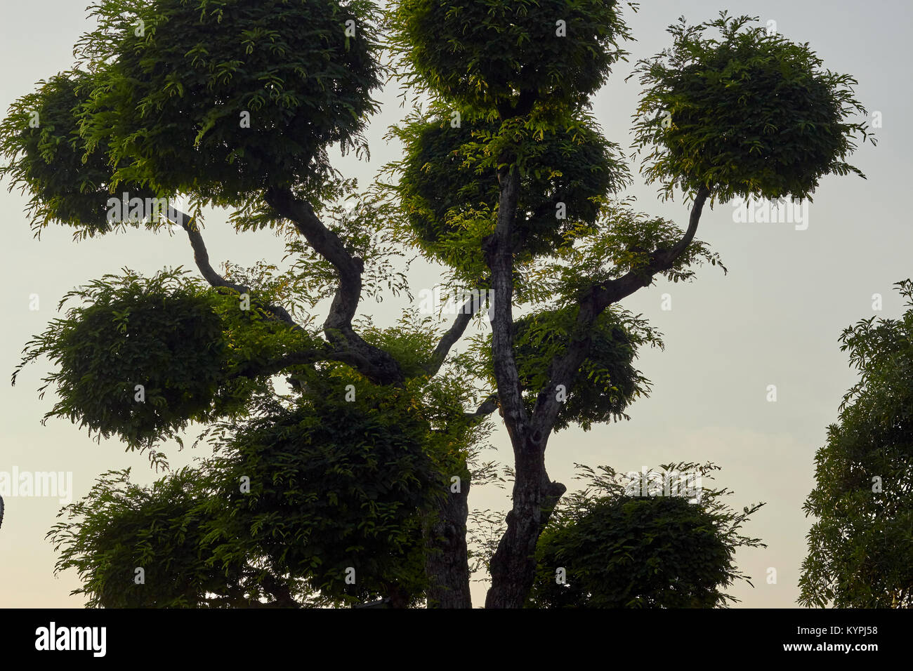 Grand garden palace hi-res stock photography and images - Alamy