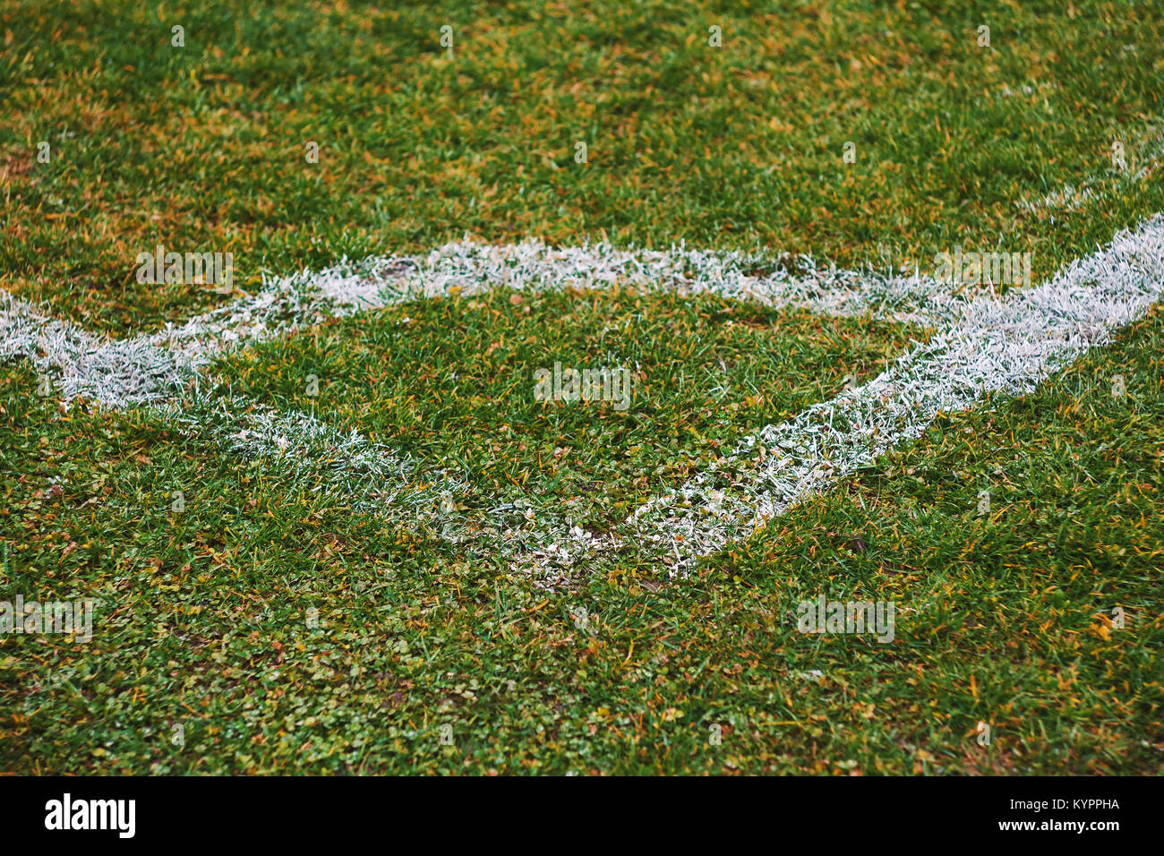 Tags on soccer field, white lines and grass Stock Photo - Alamy