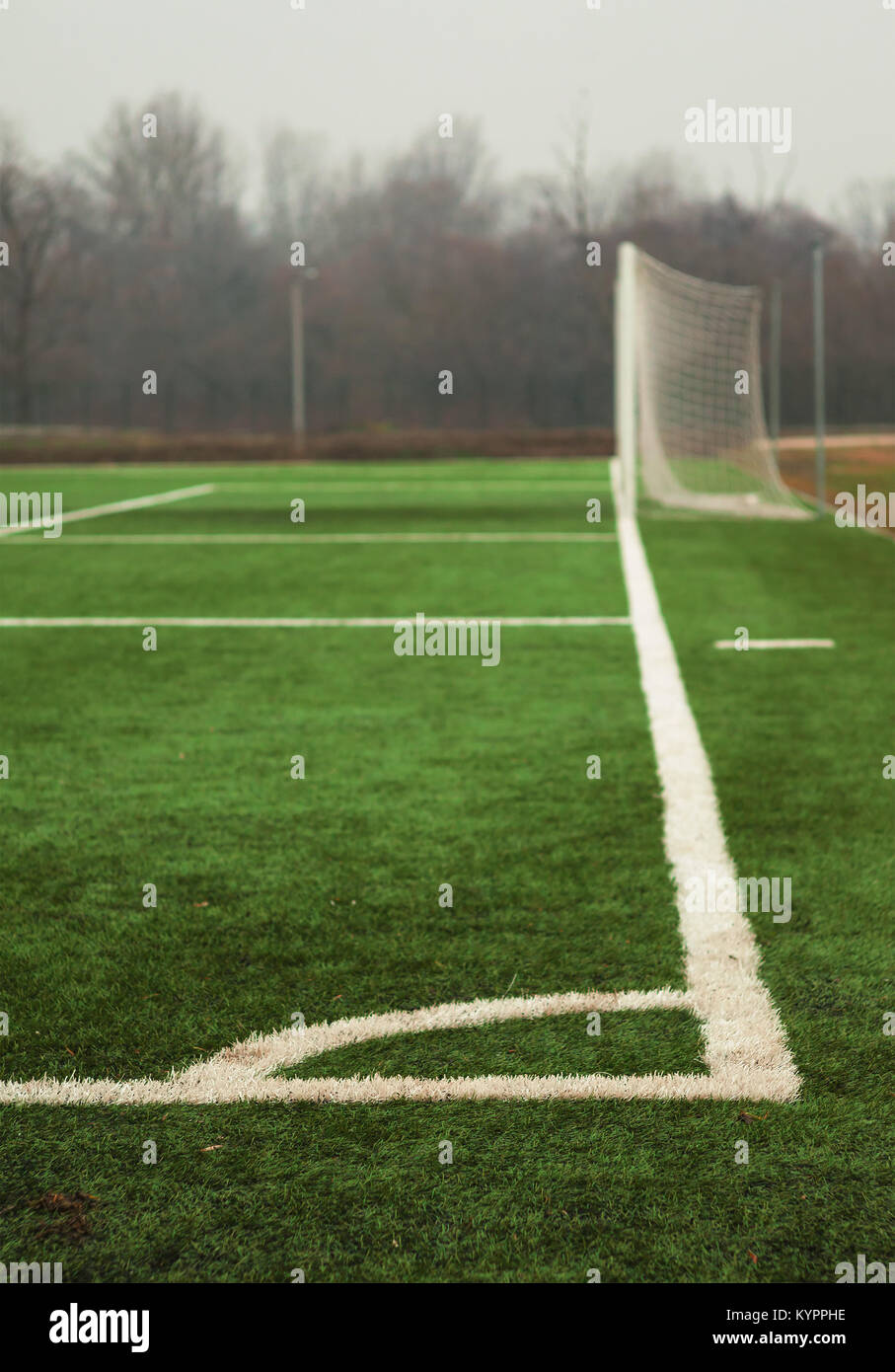 Tags on soccer field, white lines and grass Stock Photo - Alamy