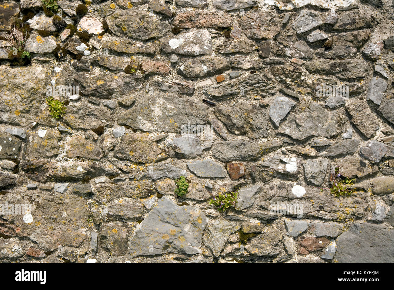 Old stone wall texture Stock Photo - Alamy