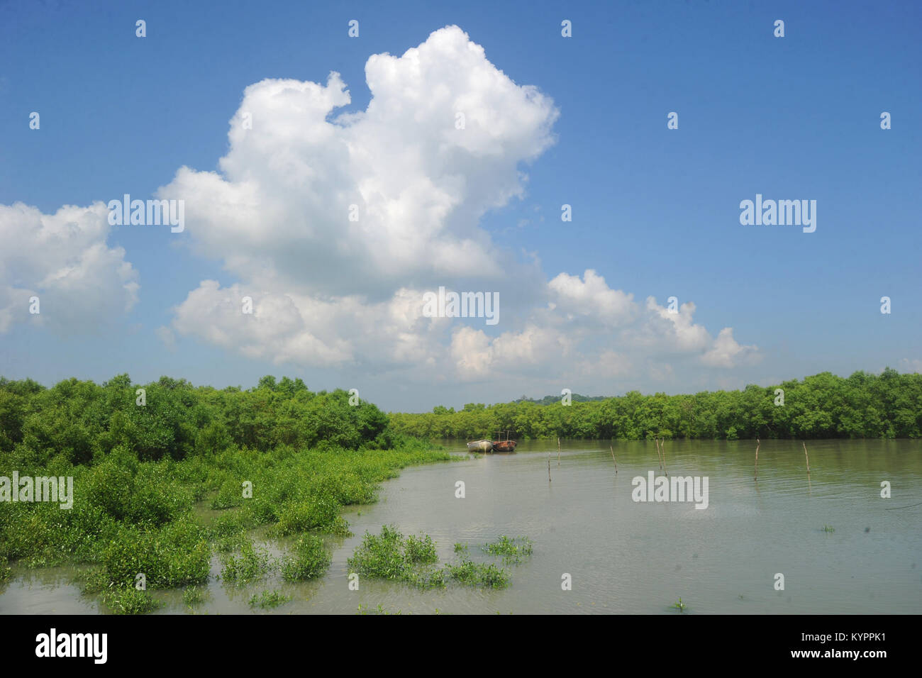 Moheshkhali Island High Resolution Stock Photography and Images - Alamy