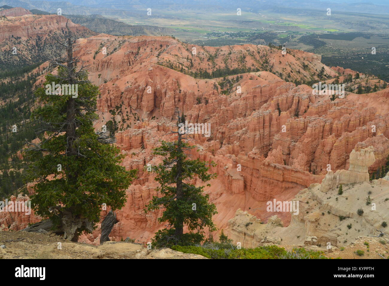 Wonderful Hodes Formations In Bryce Canyon. Geology. Travel.Nature ...