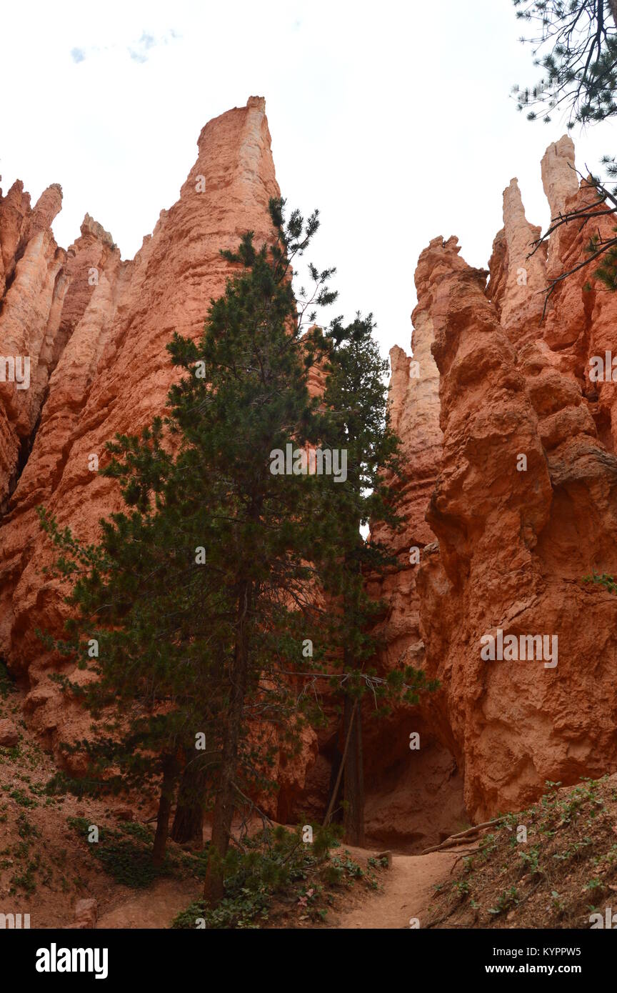 Highest Walls Of Hodes In Bryce Canyon Formations Of Hodes. Geology ...