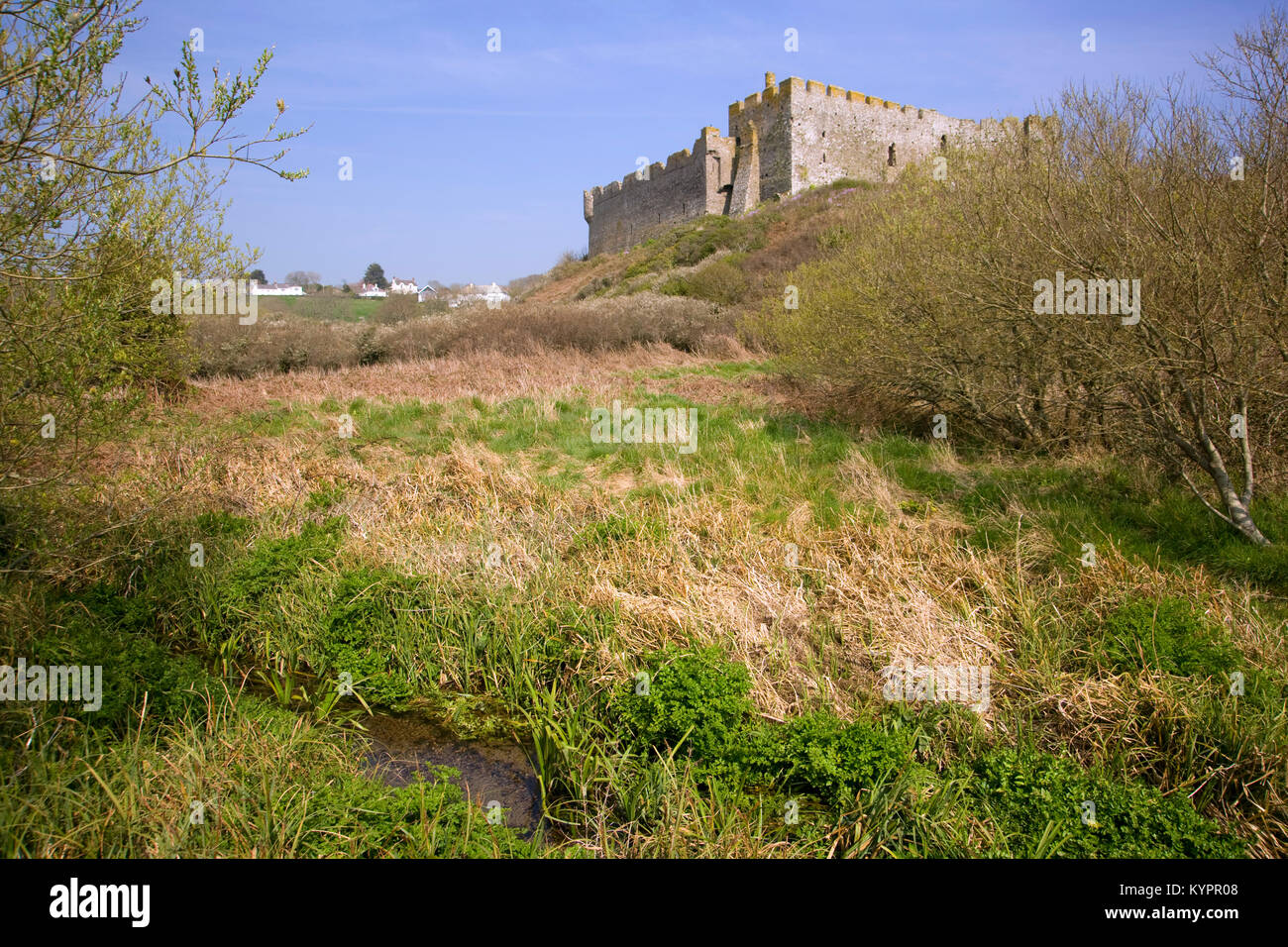 Manorbier Castle in spring sunshine, Manorbier, Pembrokeshire, Wales ...