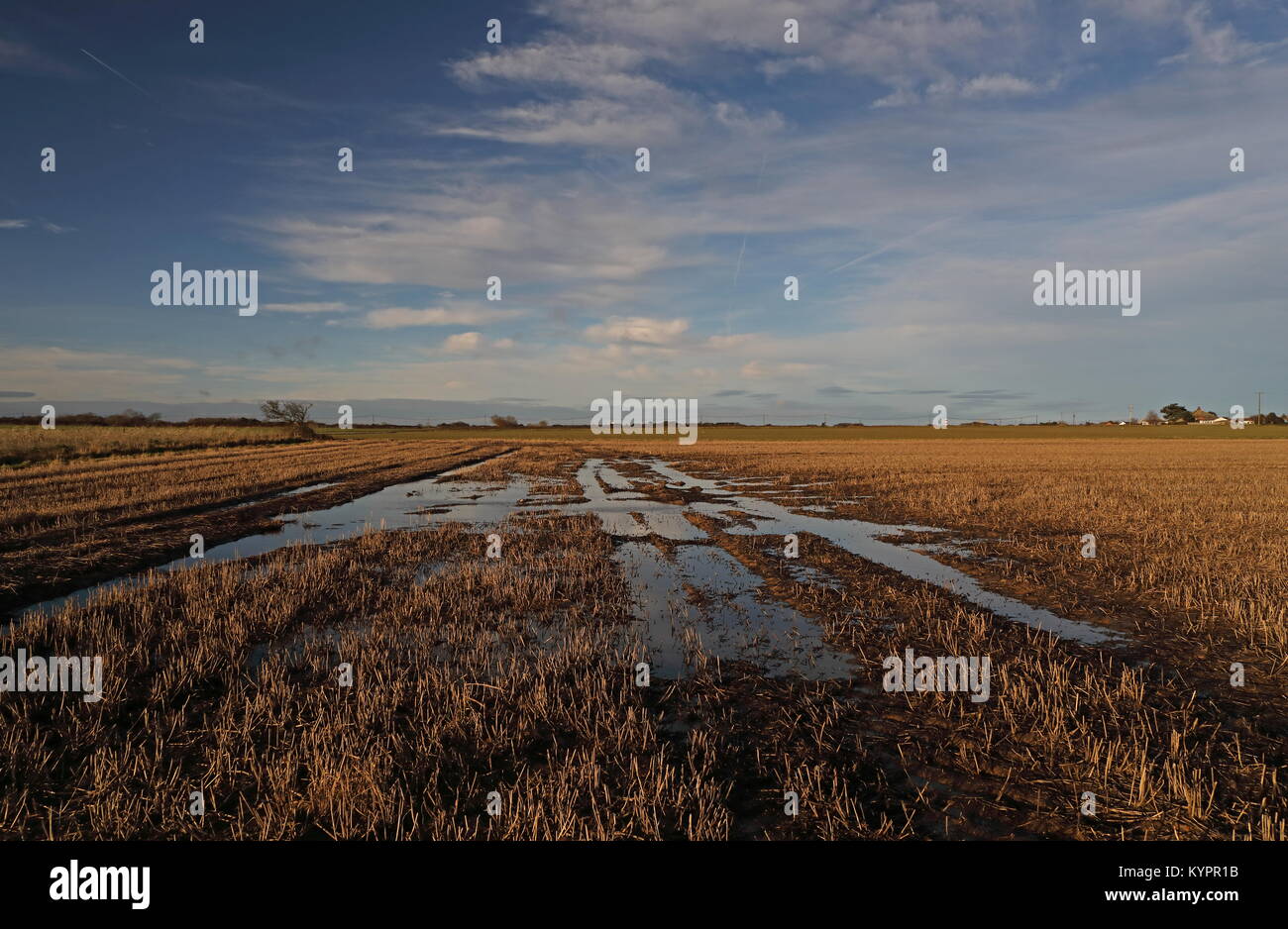 view over damp stubble field Hempstead, Lessingham, Norfolk December ...