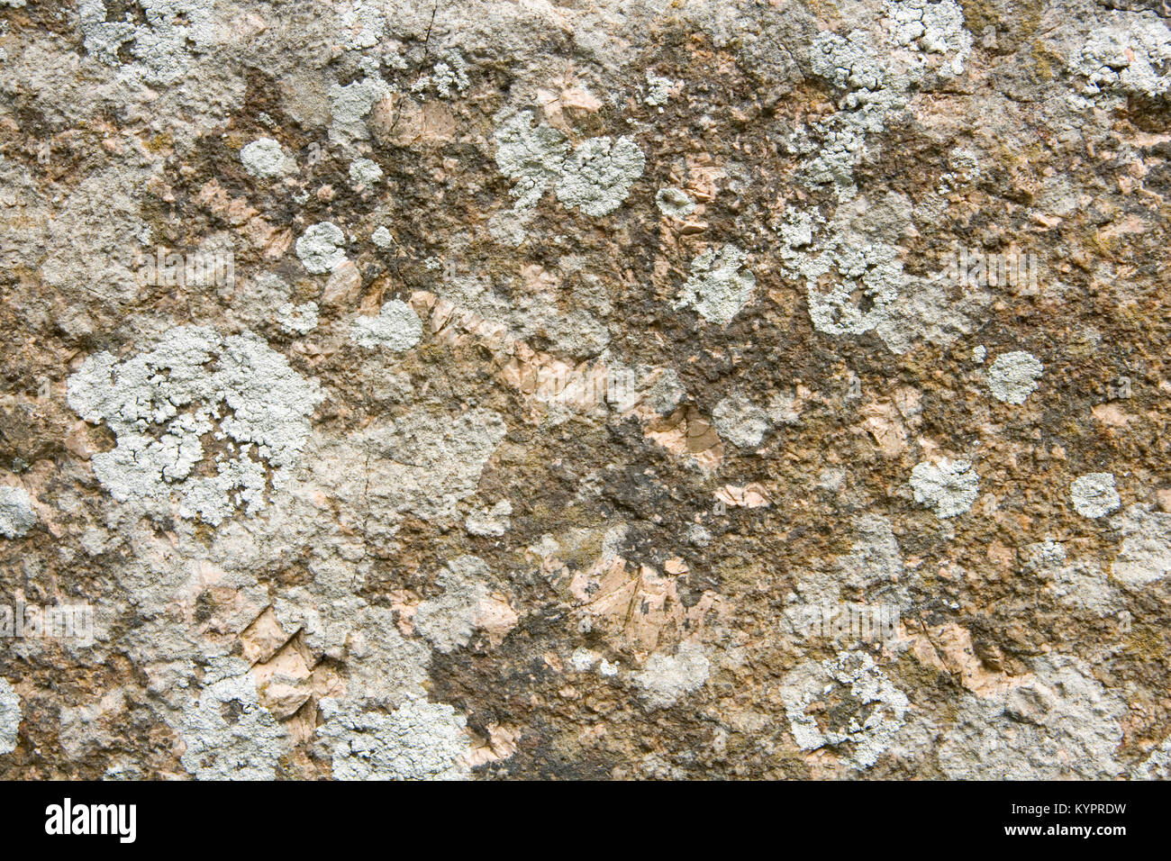 Old stone wall surface texture background Stock Photo - Alamy