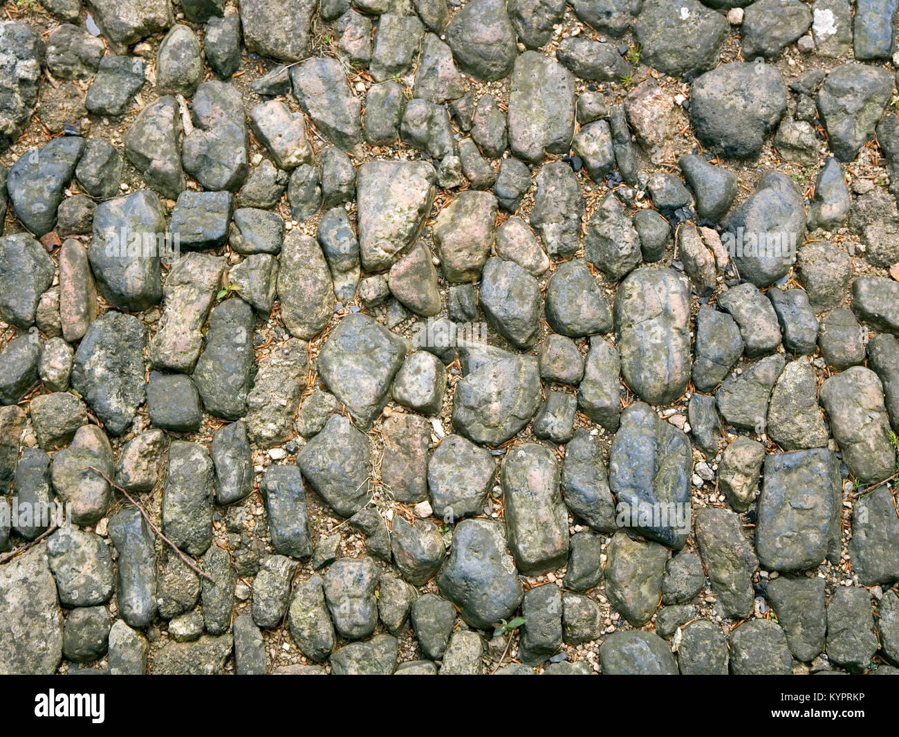 Traditional cobble paving surface full frame texture background Stock ...