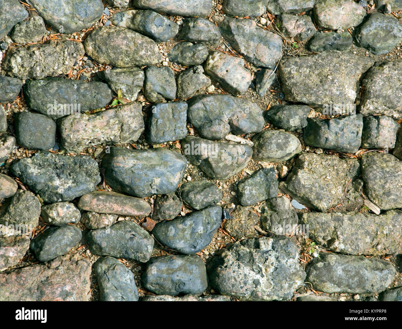 Traditional cobble paving surface full frame texture background Stock ...