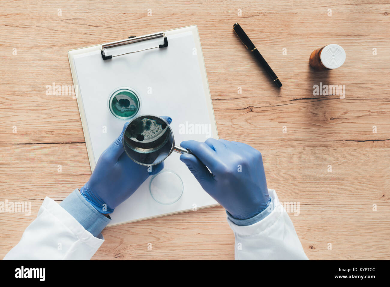 Overhead view of laboratory technician analyzing growing bacterial ...