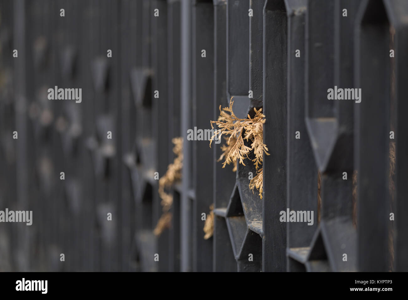 Peaking power plant hi-res stock photography and images - Alamy