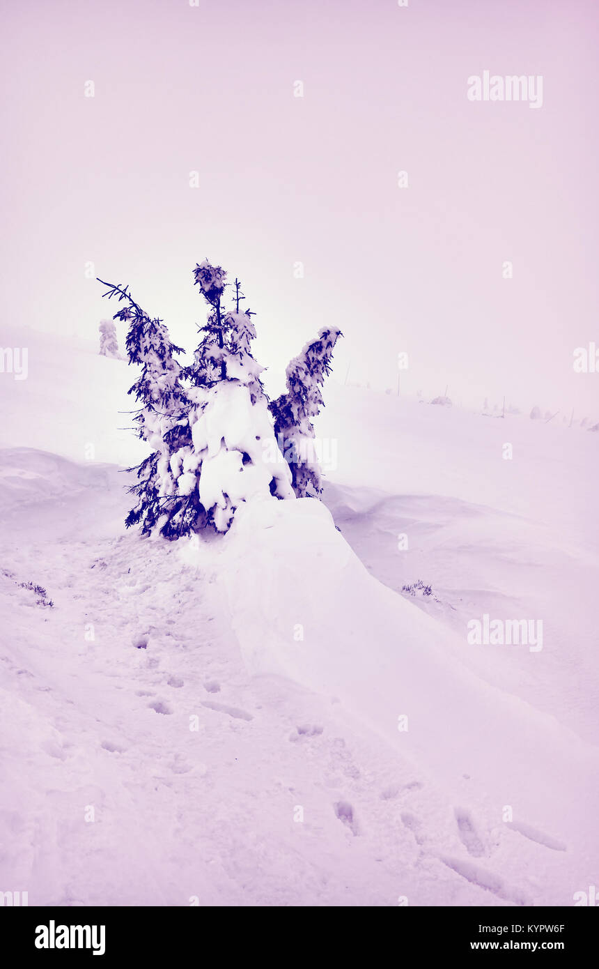 Vintage winter landscape hi-res stock photography and images - Alamy