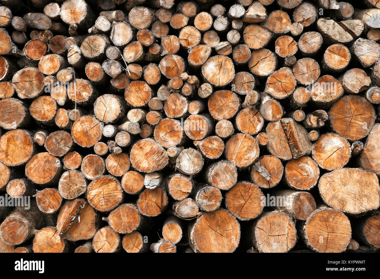 Log pile full frame background close up Stock Photo - Alamy