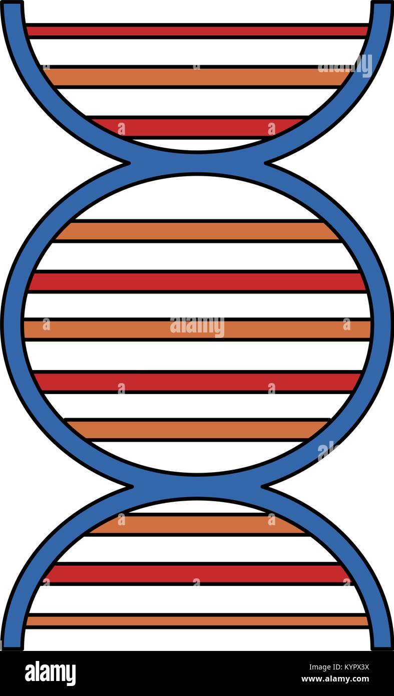 Human dna symbol Stock Vector Image & Art - Alamy