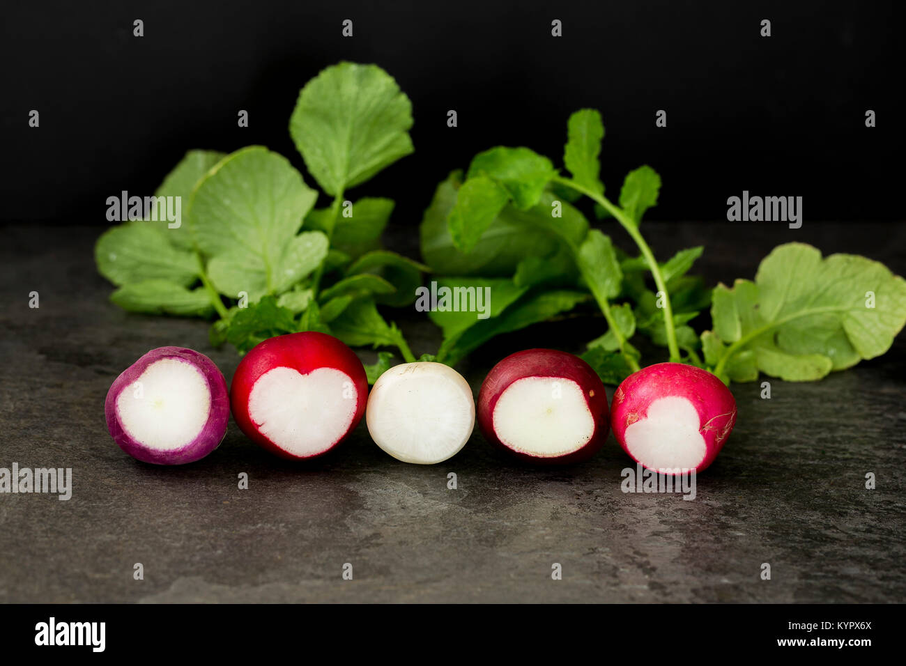 Gourmet Radish Fresh From the Garden Stock Photo - Alamy