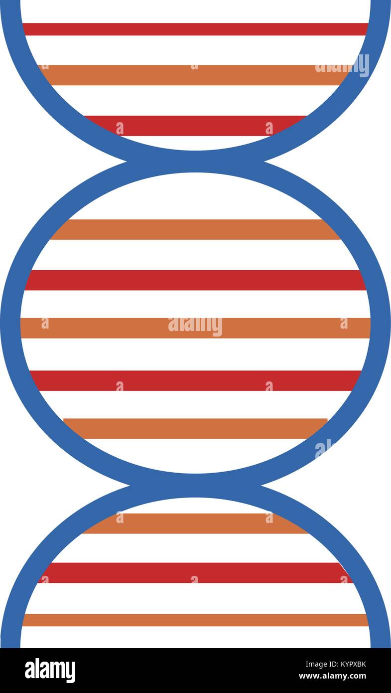 Human dna symbol Stock Vector Image & Art - Alamy