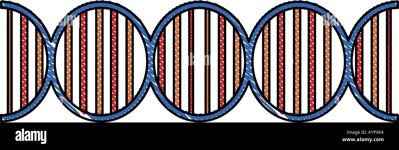 Human dna symbol Stock Vector Image & Art - Alamy