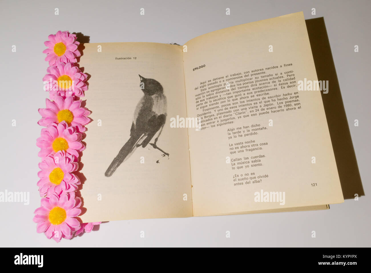 Vintage poetry book with a black bird and pink and yellow flowers on ...