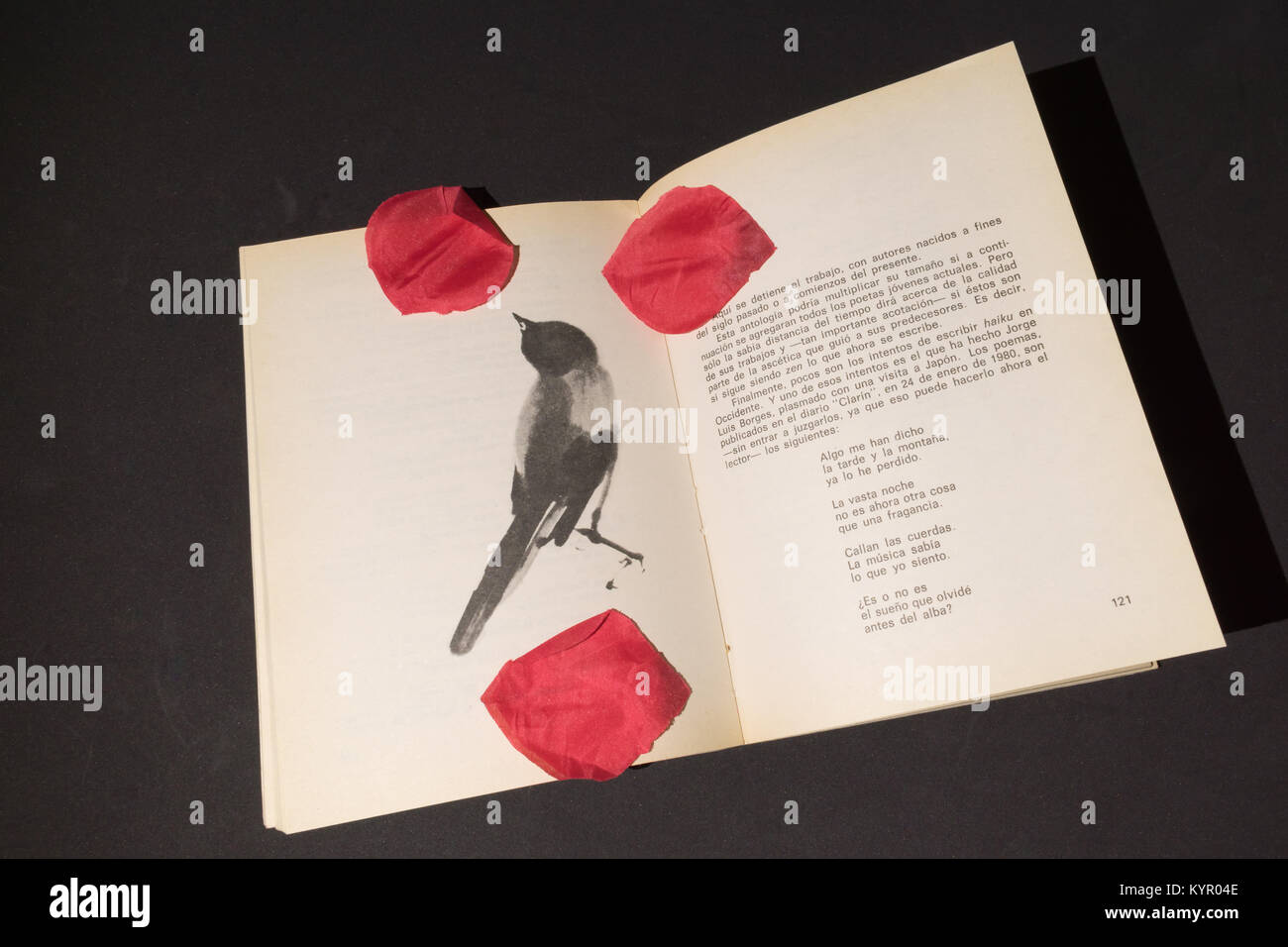 Text vintage old book sepia hi-res stock photography and images - Alamy