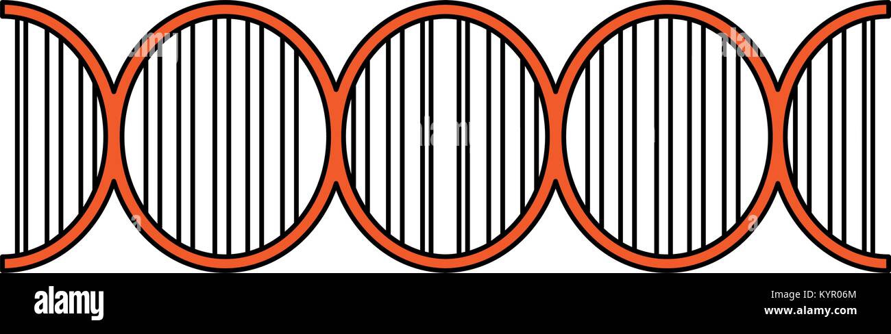 Human dna symbol Stock Vector Image & Art - Alamy