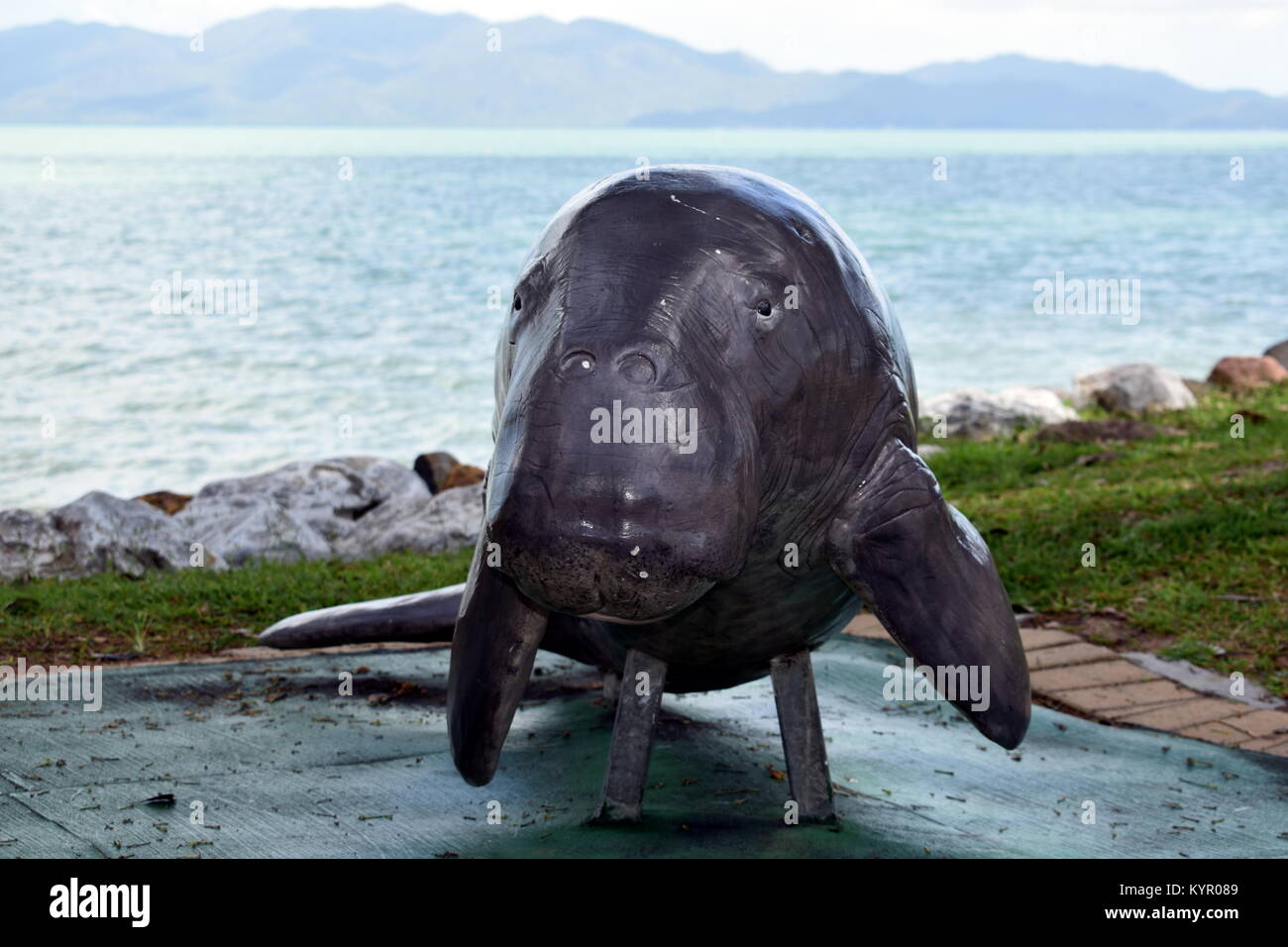 Manatee themed art hi-res stock photography and images - Alamy