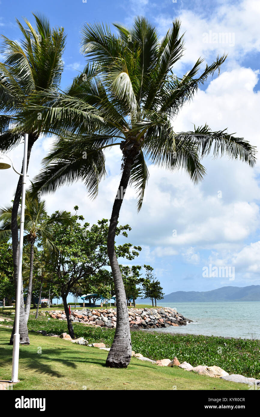 Palm strand hi-res stock photography and images - Alamy