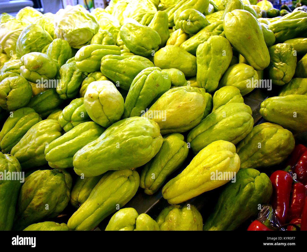 Photo of bunch of fresh Chayote on display at a grocery store Stock ...