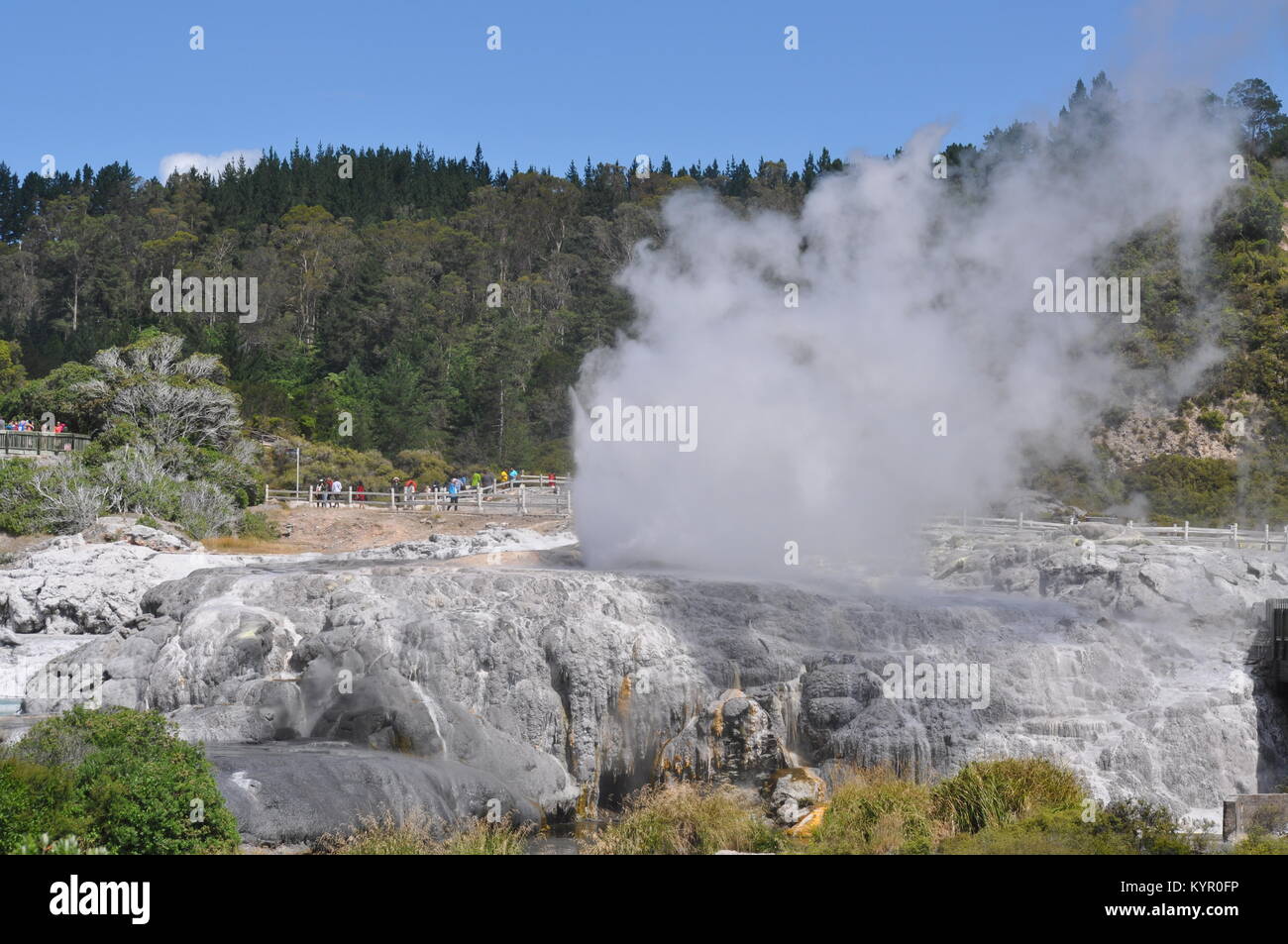 Te puia, rotorua High Resolution Stock Photography and Images - Alamy