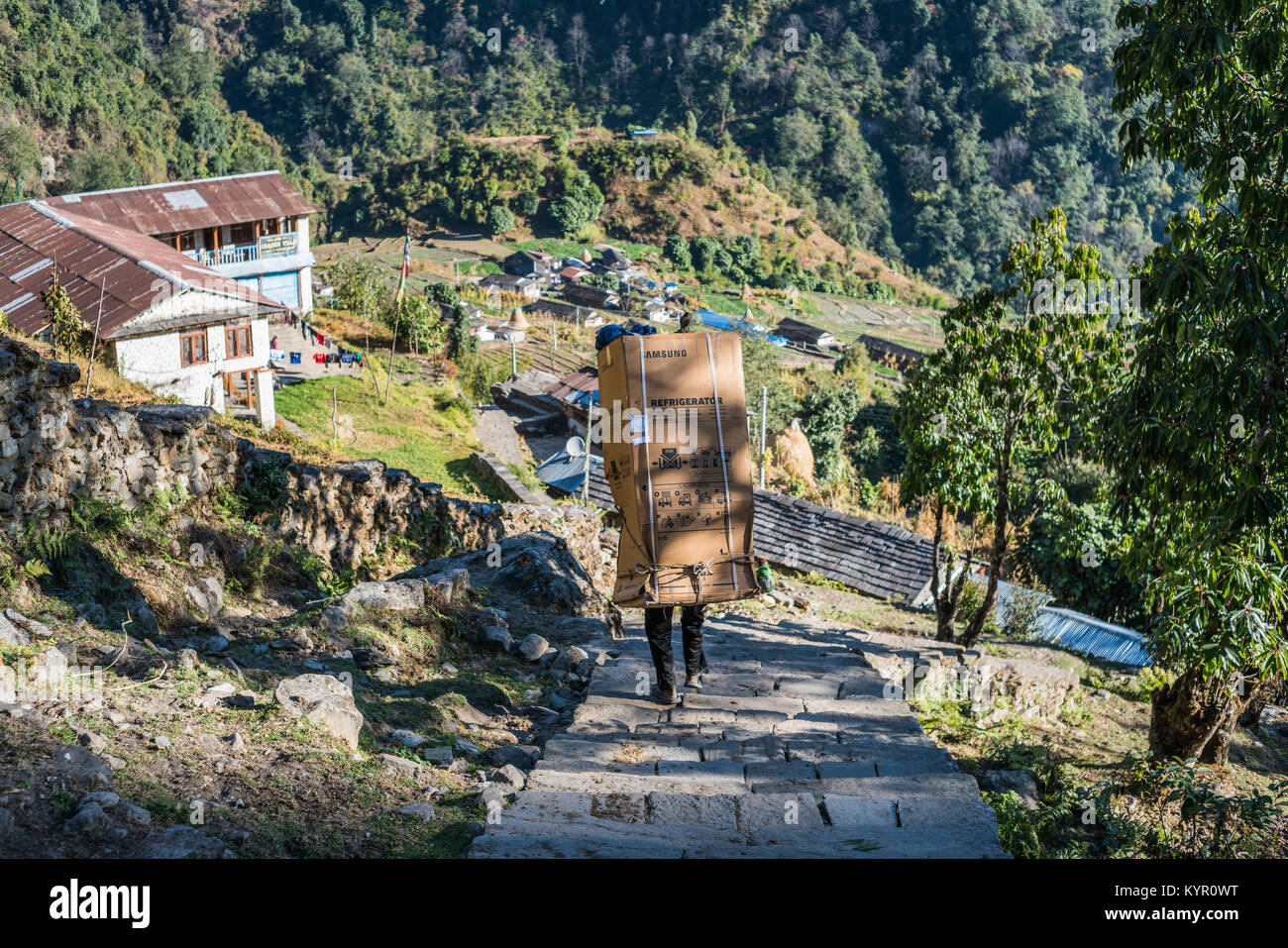 carrier carries the fridge. Annapurna base camp trek, Chomrong, Nepal ...