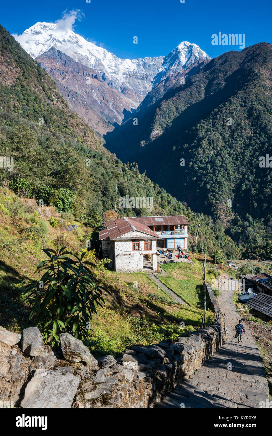 Chomrong, Annapurna base camp trek, Nepal, Asia Stock Photo - Alamy