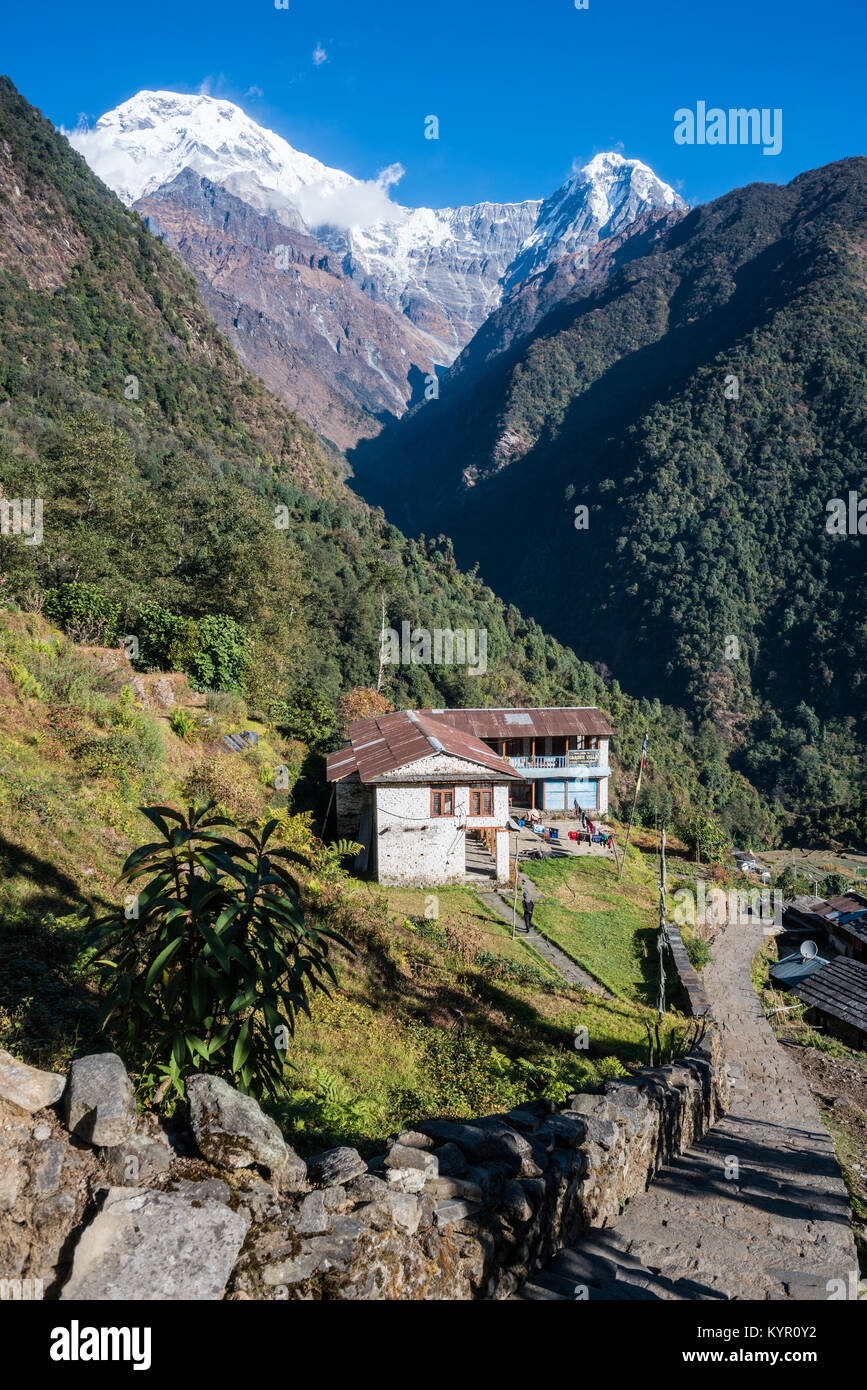 Chomrong, Annapurna base camp trek, Nepal, Asia Stock Photo - Alamy